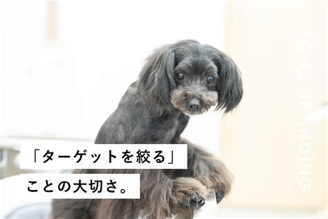 「ターゲットを絞る」ことの大切さ。 長野・東京｜ブランディング＆マーケティング会社 Tone Branding（トーンブランディング）