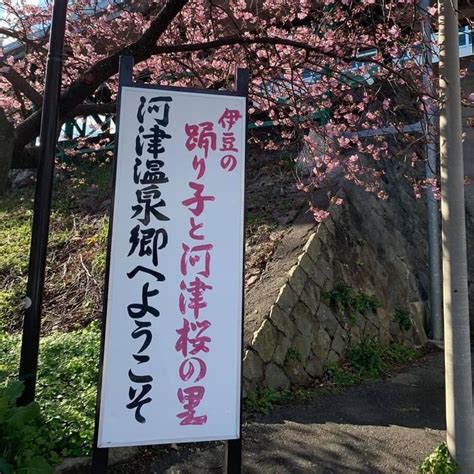 【2024河津町旅遊攻略】人氣景點、酒店推介、熱門活動及餐廳