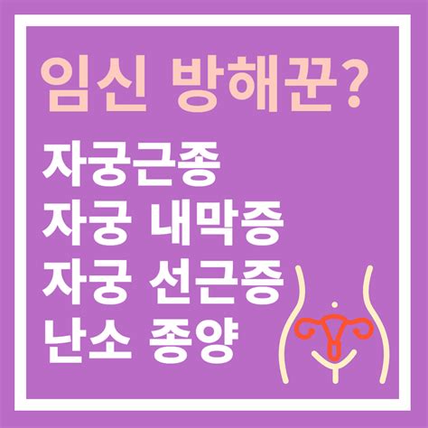 임신준비를 위한 방해꾼 자궁 근종 자궁 내막증 자궁 선근증 난소 종양