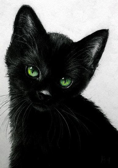 Charcoal Cat Art Black Cat Drawing