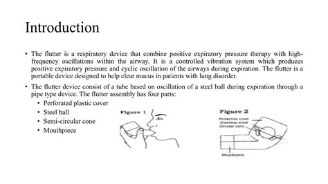 Flutter Device Pptx Lung And Respiratory Health Diseases And Conditions