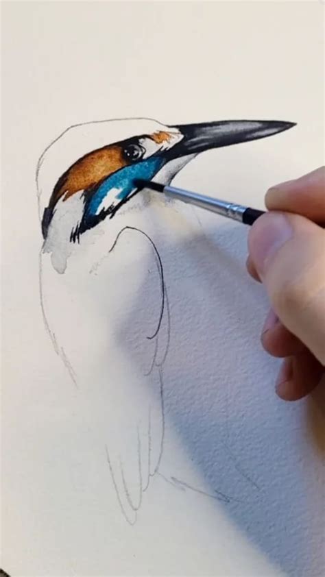 Paintedwing Shared A Video On Instagram “new Kingfisher Tutorial
