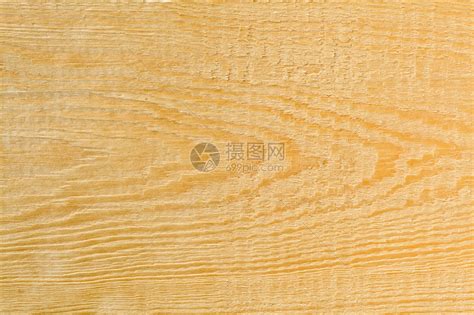 树的纹理高清图片下载 正版图片320949671 摄图网
