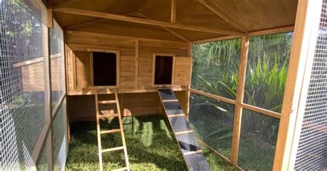 Chicken Coop For Beginners Your Aussie Starter Guide
