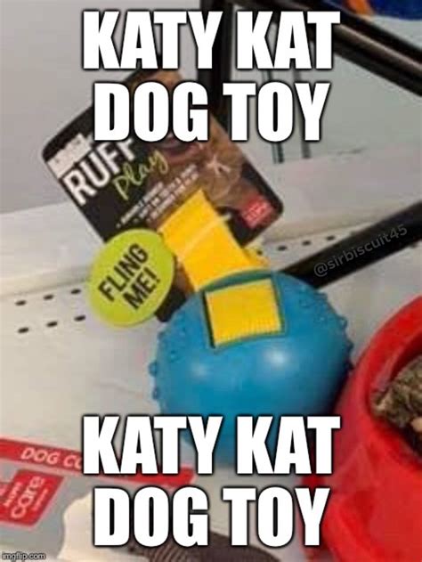 Its Katy Kat Omg 😳 Oc Parappa The Rapper Amino Amino