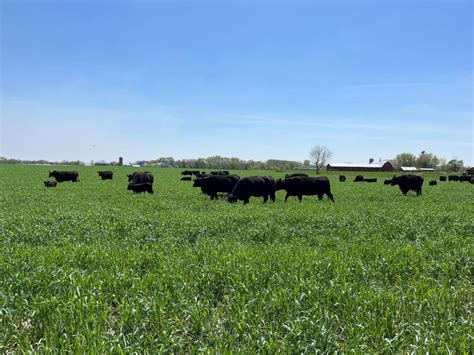 Farmer Leadership Key To Adoption Of Sustainable Grazing Practices