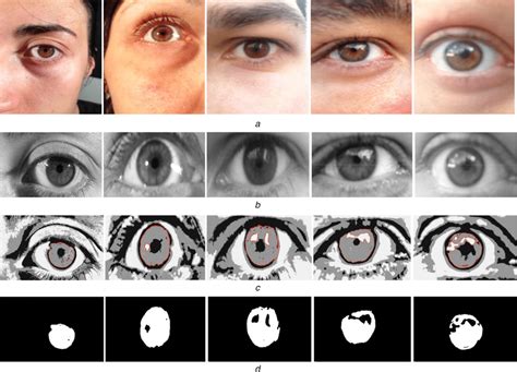 Segmentation Of Some Sample Images From Miche Database Ip5 A