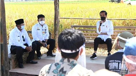Presiden Jokowi Tinjau Panen Padi Dan Berdialog Dengan Petani Di Indramayu