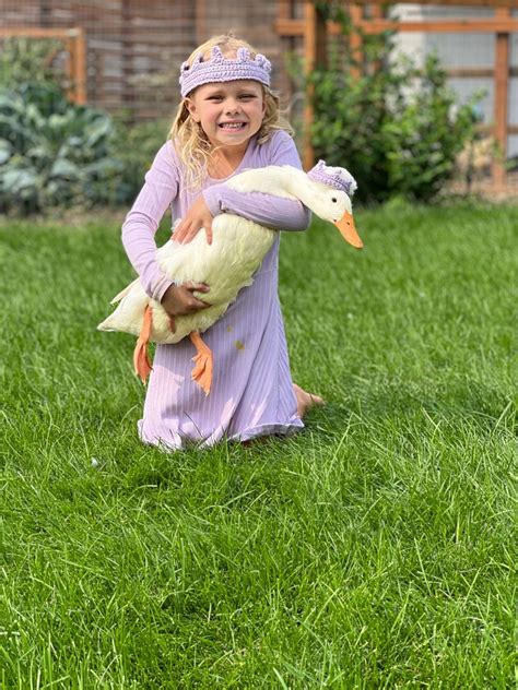 How To Raise Friendly Ducks Artofit