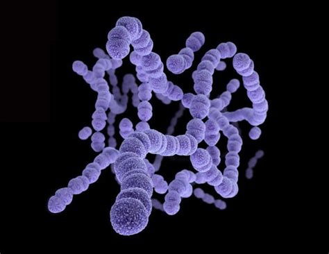 New Technology Enables Targeted Delivery Of Antibiotics