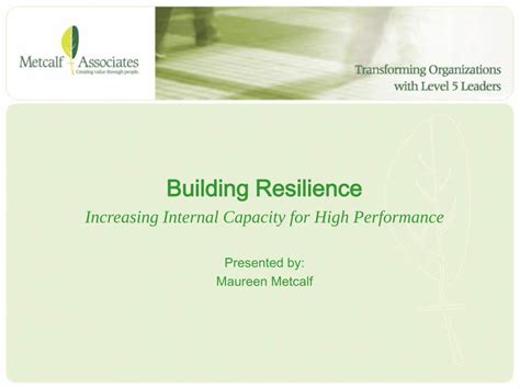 pdf resilience overview dokumen tips