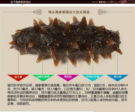 干海參怎麼發干海參的營養價值詳細分析 每日頭條