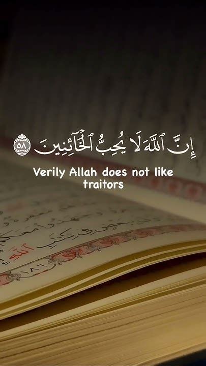 إن الله لا يحب الخائنين 🗯️🌹 تلاوةهادئة القرآنالكريم Youtube