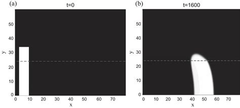 Stationary Shape Of A Wave Segment Propagating Through An Inhomogeneous