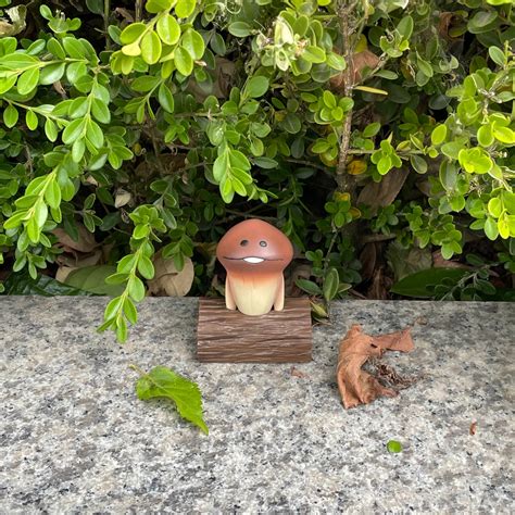 가챠 당첨 나메코 🍄🍂 콜리 Colley