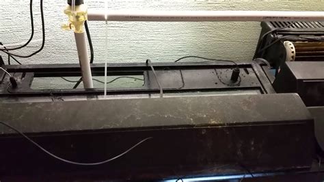 Aquaponics Update With Arduino Controlled Grow Bed Youtube