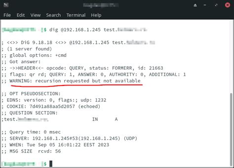 How To Set Windows Server DNS To Resolve Recursively For Every IP In My
