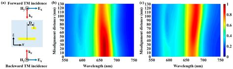 Polarization Selective Bidirectional Absorption Based On A Bilayer Plasmonic Metasurface