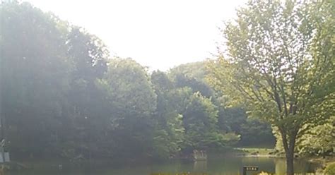 みみ助店長 天気がよかったので公園にいきました。゜o゜ みみ助店長のイラスト Pixiv