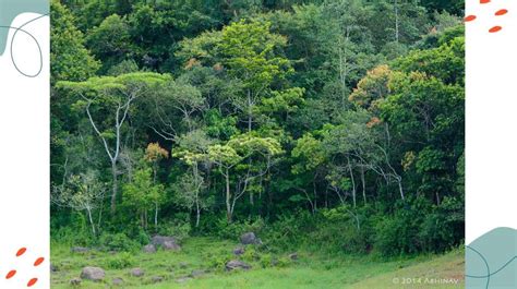 Географическая зональность природные зоны и высотная поясность презентация онлайн