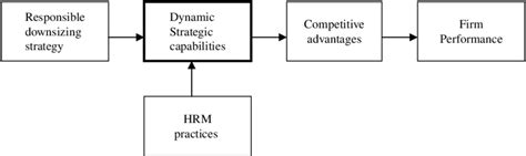 Dynamic Strategic Capabilities Perspective Download Scientific Diagram