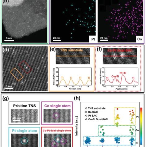 Structural Characterization Of Co Pt Dual‐single‐atom Catalyst A Download Scientific Diagram
