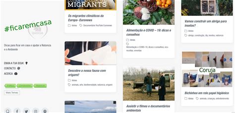 Dicas de sustentabilidade para quem está em casa