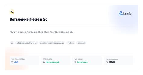 Мастерство в ветвлении If Else в Go Labex
