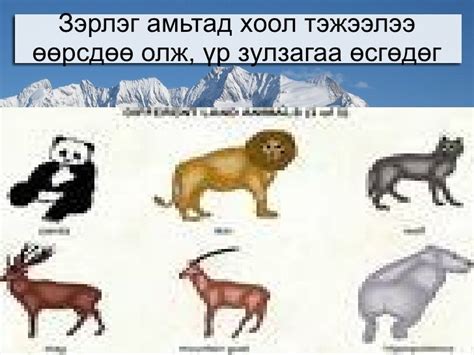 зэрлэг амьтад