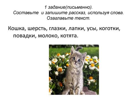 Главные и второстепенные члены предложения презентация онлайн