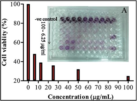 Cytotoxicity Of Aunps Against Human Breast Cancer Cell Line Mcf 7
