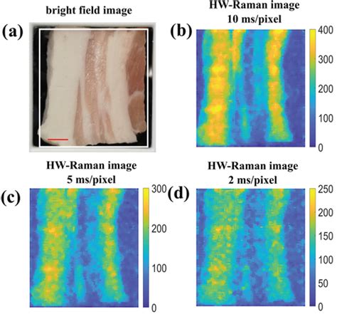 Feasibility Of Integrated High‐wavenumber Raman Imaging And Fingerprint Raman Spectroscopy For