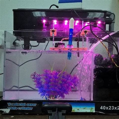 Smart Aquarium System Youtube