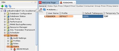 [oracle19c 数据库管理] 用户与权限管理