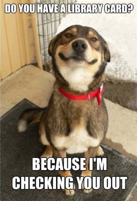 Flirty Memes To Send To Your Crush To Make Her Laugh Out Loud And