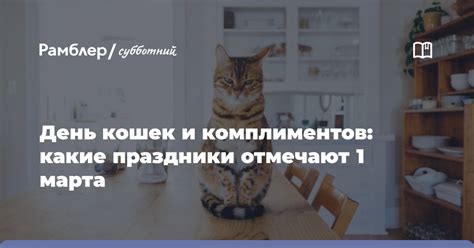 День кошек и комплиментов какие праздники отмечают 1 марта Рамблер развлечения и отдых