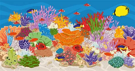 水族馆 有鱼和珊瑚的海洋礁石水族馆 向量例证 插画 包括有 宠物 石头 珊瑚 神仙鱼 五颜六色 80500746