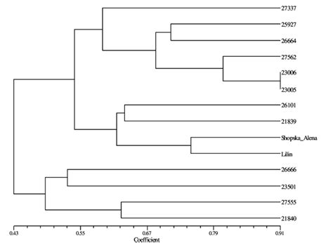 genetic relationship between 14 raspberry accessions based on rapd data