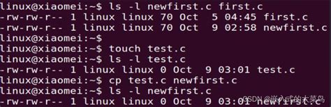 Linux基本命令的使用（cp Mv）mv 源文件 Csdn博客