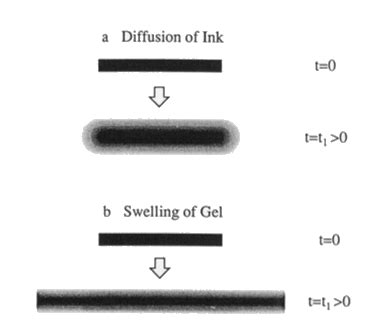 A Schematic Description Of A Diffusion Process Of Ink Molecules In Download Scientific