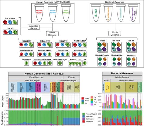Ampliseq Exome Kit Thermo Fisher Bioz