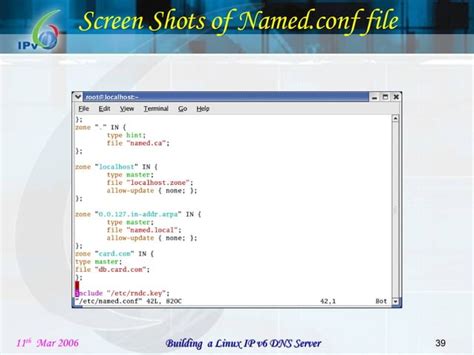 building a linux ipv6 dns server project review ppt v3 0 first review ppt