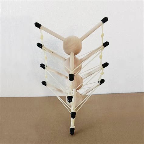 Tensegrity Spine Model Anatomy Train Spine Tension Overall Model