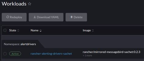 Show All Container Images In Workload View · Issue 4626 · Rancherdashboard · Github