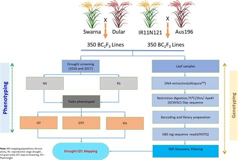 31 Facts About Intensity Mapping