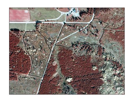 Prescribed Burning To Increase Blueberries And Ericaceous Shrubs Mn