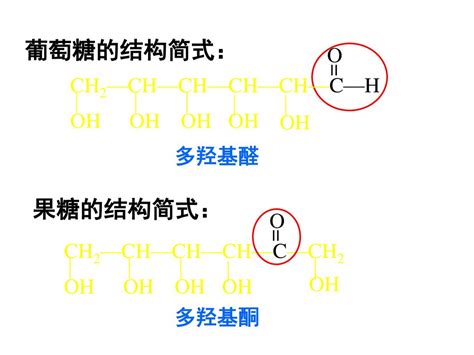 第四节 基本营养物质 Ppt Download