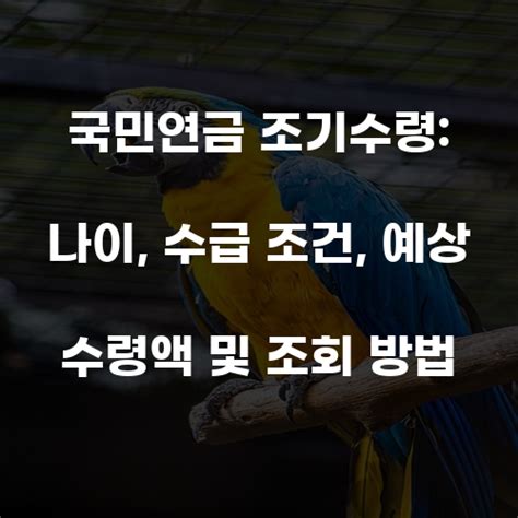 국민연금 조기수령 나이 수급 조건 예상 수령액 및 조회 방법
