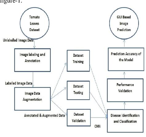 Figure 1 From Web Based Gui Detector To Recognise Tomato Plant Leaf