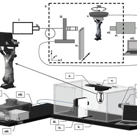 Schematic Diagram Showing The Major Components Of The Fmt Imager Download Scientific Diagram